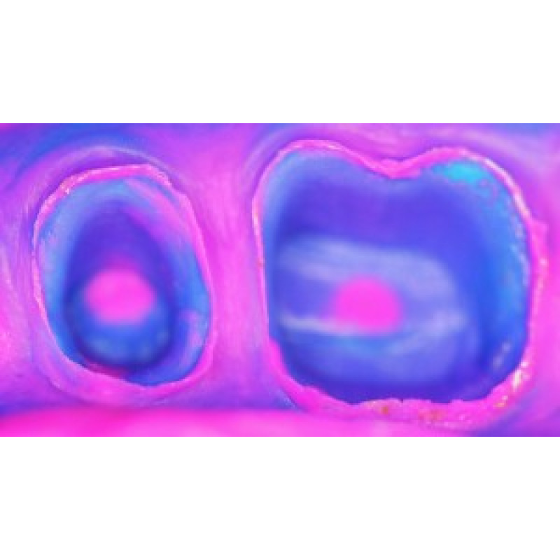 ACTION EXPASYL CAPSULES X 20