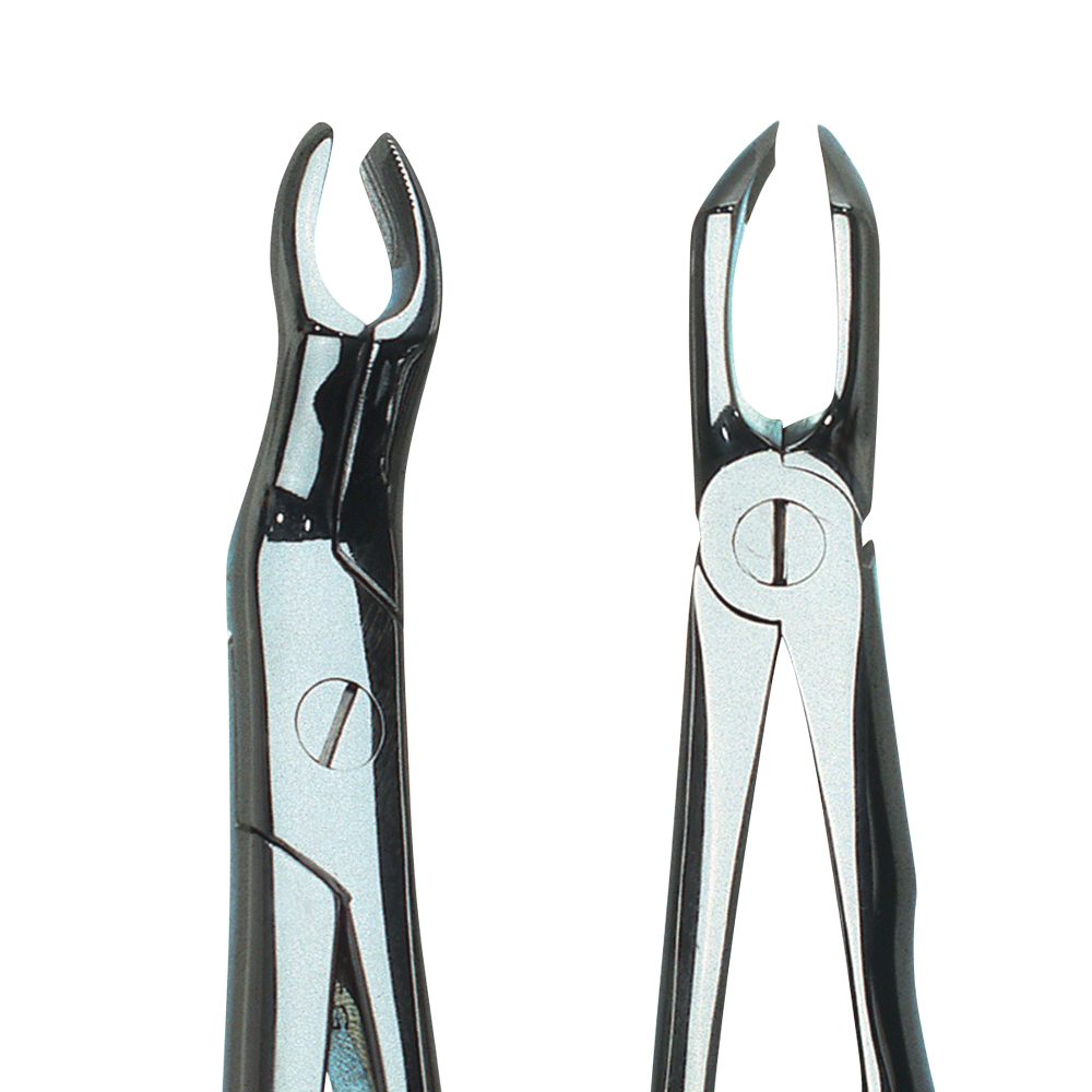 DAVIER HANDFORM 1767 DENT DE SAGESSE DU HAUT