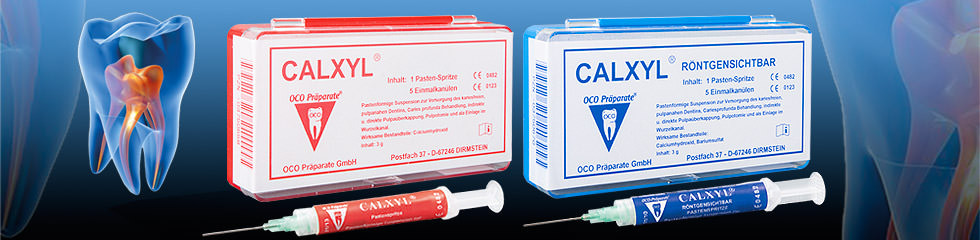 CALXYL SERINGUE 3 GR