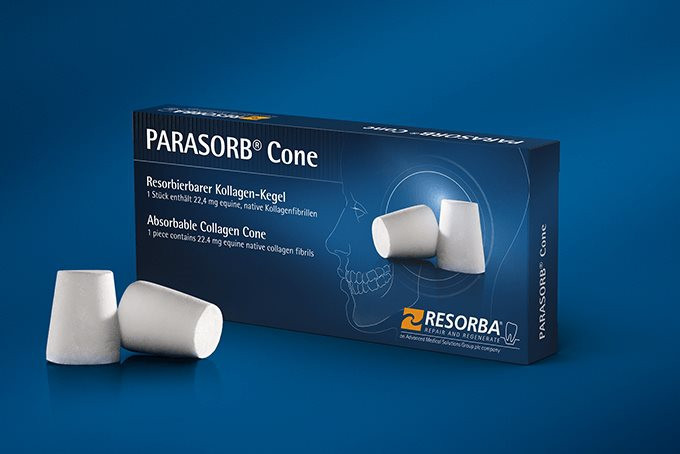 ACTION PARASORB RESORBA CONE X 10