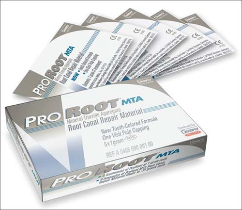 PRO ROOT MTA 10 X 0.5 GR.