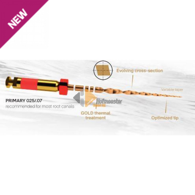 ACTION WAVE ONE GOLD X 6